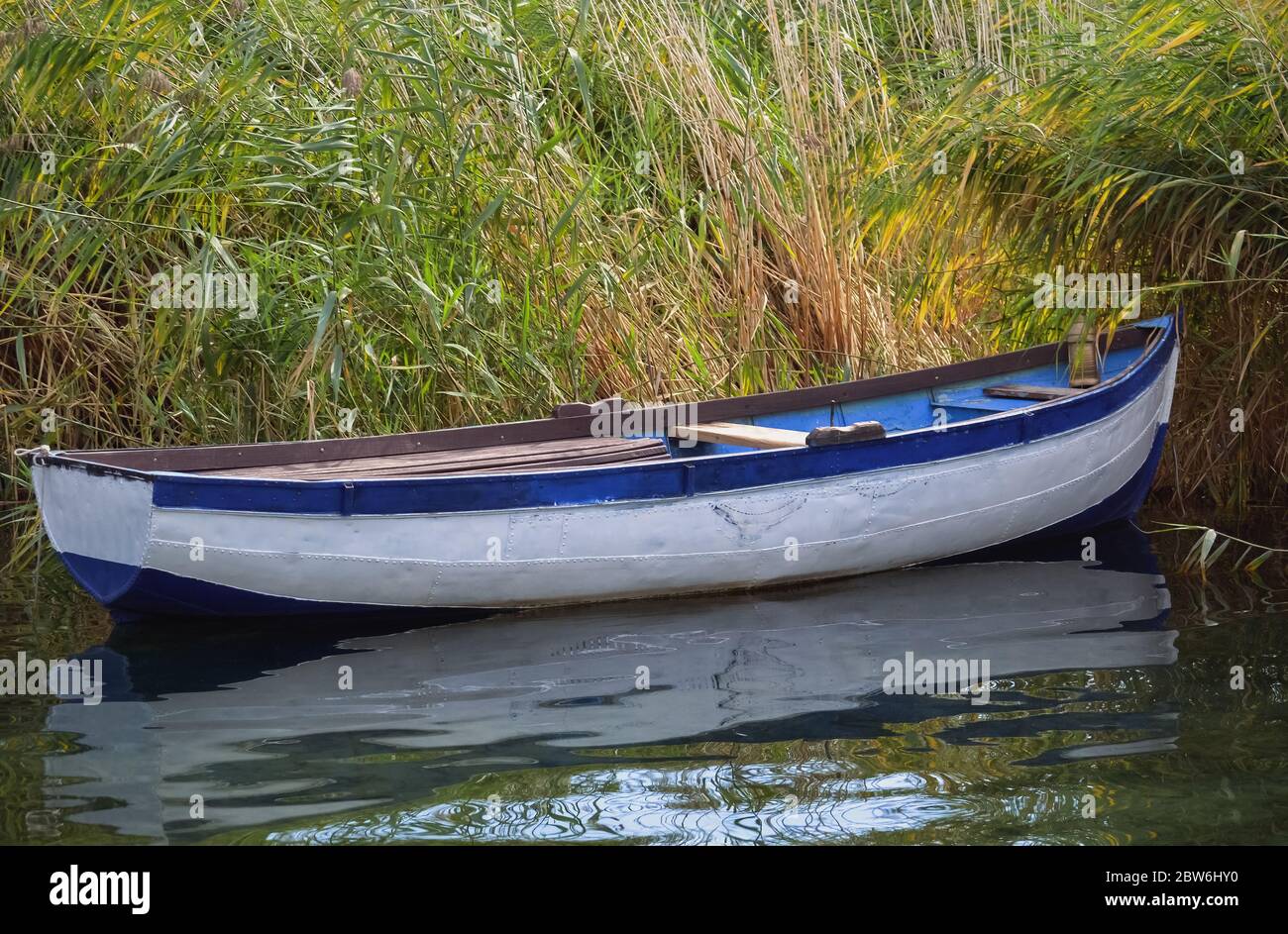 Small fishing boat floating in the lake and dense reed Stock Photo - Alamy
