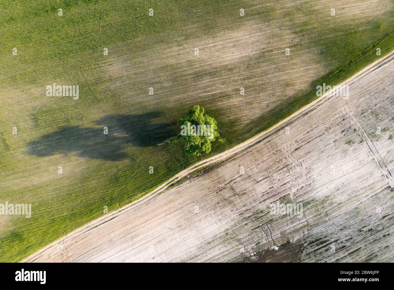 sown agricultural field, view from above Stock Photo - Alamy