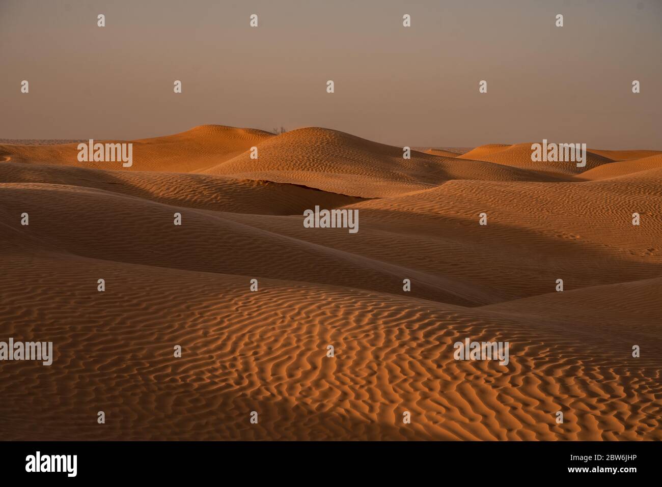 View of the Desert in Tunisia Stock Photo - Alamy