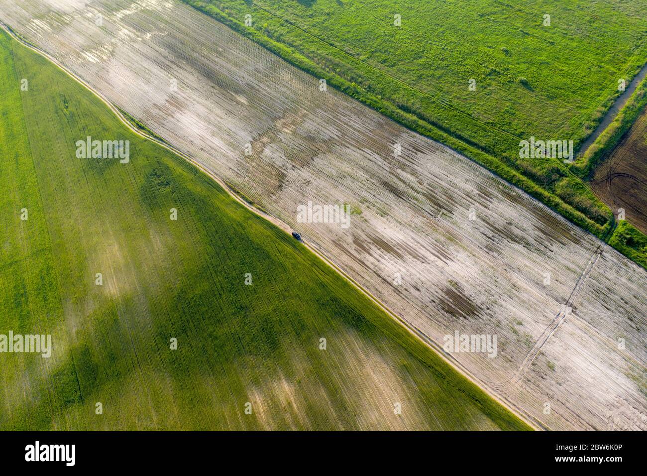 sown agricultural field, view from above Stock Photo - Alamy
