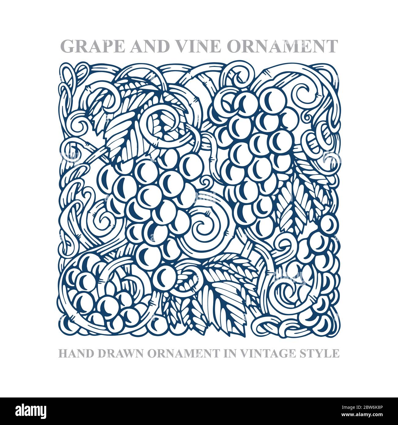 Grape. Grape bunch and vine hand drawn vector illustration. Grape and ...