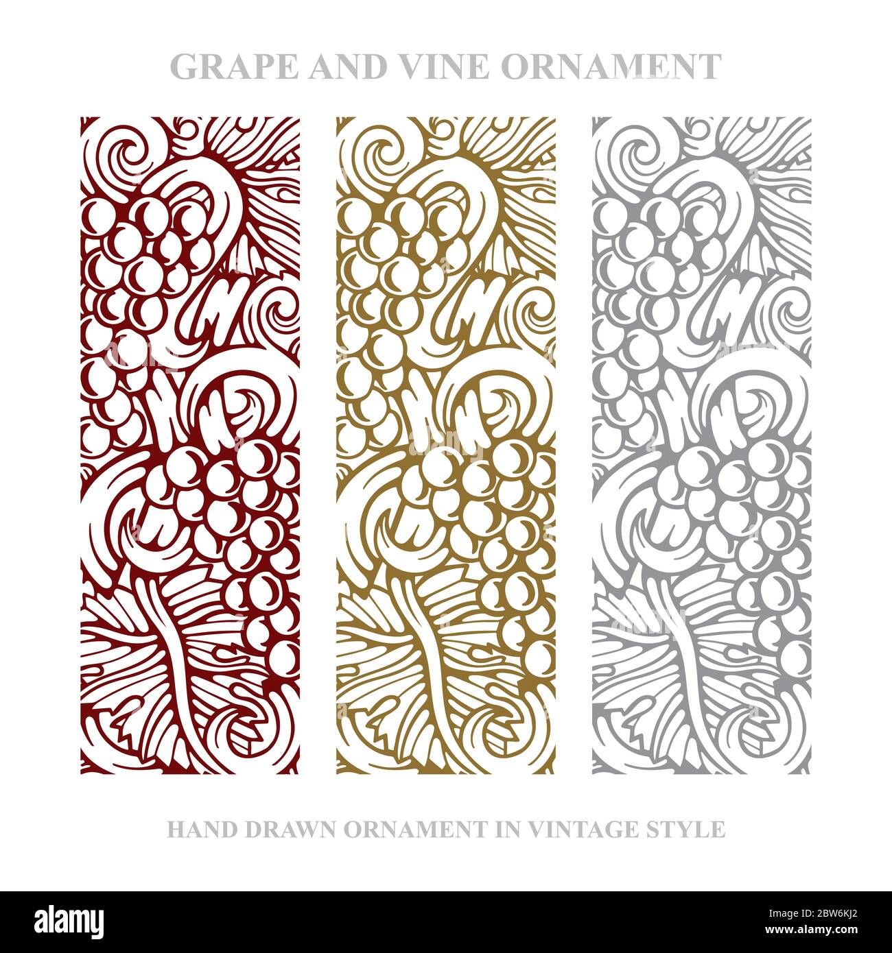 Grape. Grape bunch and vine hand drawn vector illustration. Grape and ...