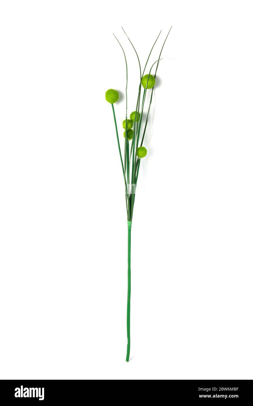 Beautiful artificial branch isolated on white background Stock Photo ...