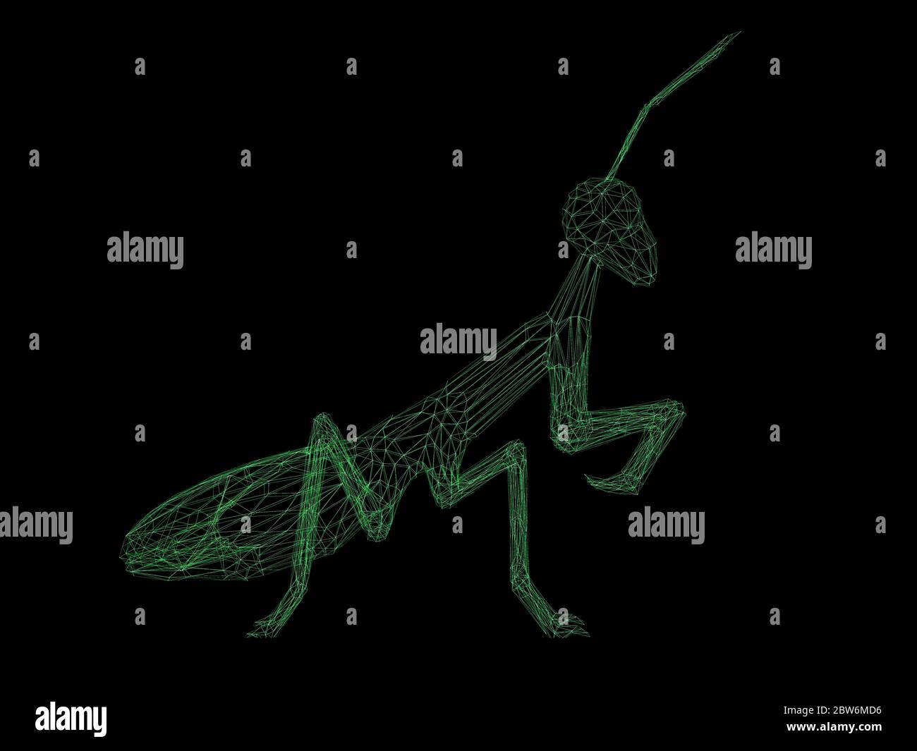 3d wireframe animal hi-res stock photography and images - Alamy
