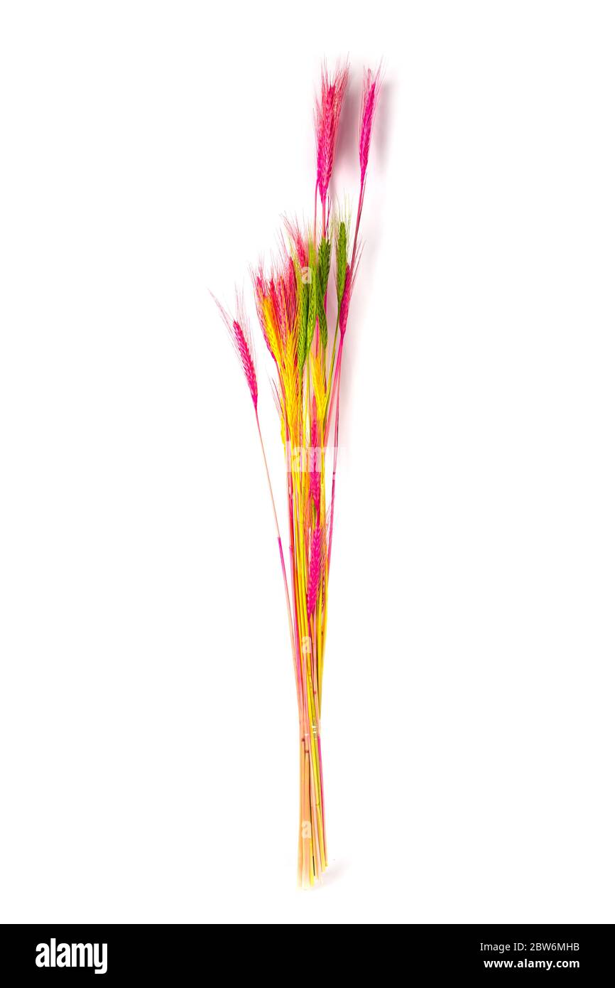 Beautiful A bunch of artificial spikelets isolated on white background ...