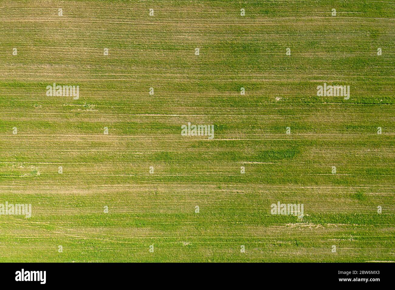 sown agricultural field, view from above Stock Photo - Alamy