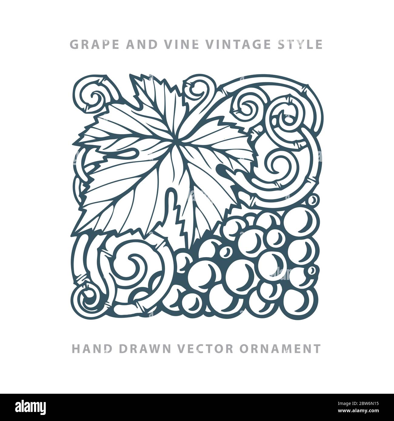 Grapevine vintage style ornaments. Grape bunch and vine hand drawn ...