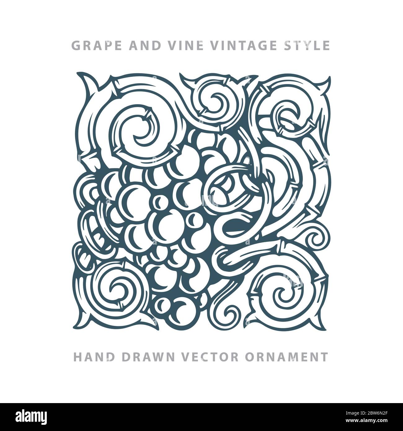 Grapevine vintage style ornaments. Grape bunch and vine hand drawn ...