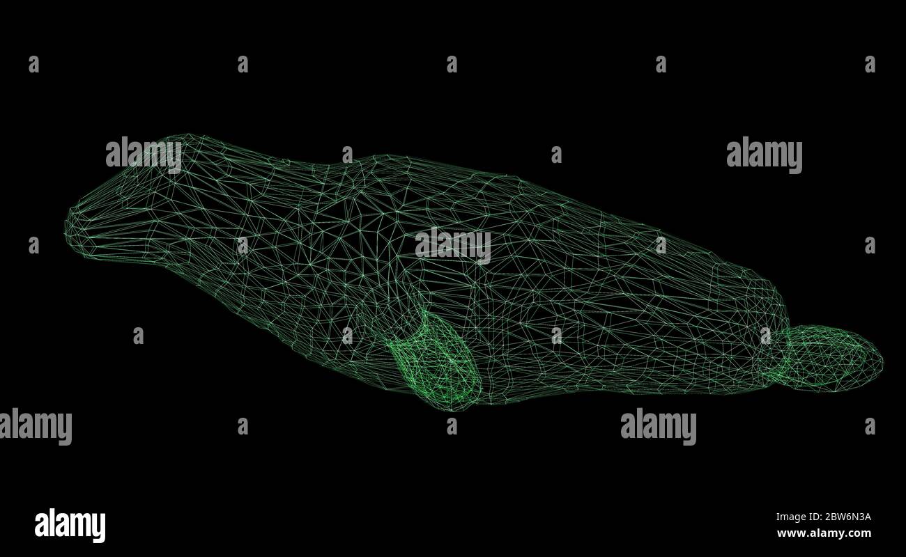 3d rendering animal wireframe hi-res stock photography and images - Alamy