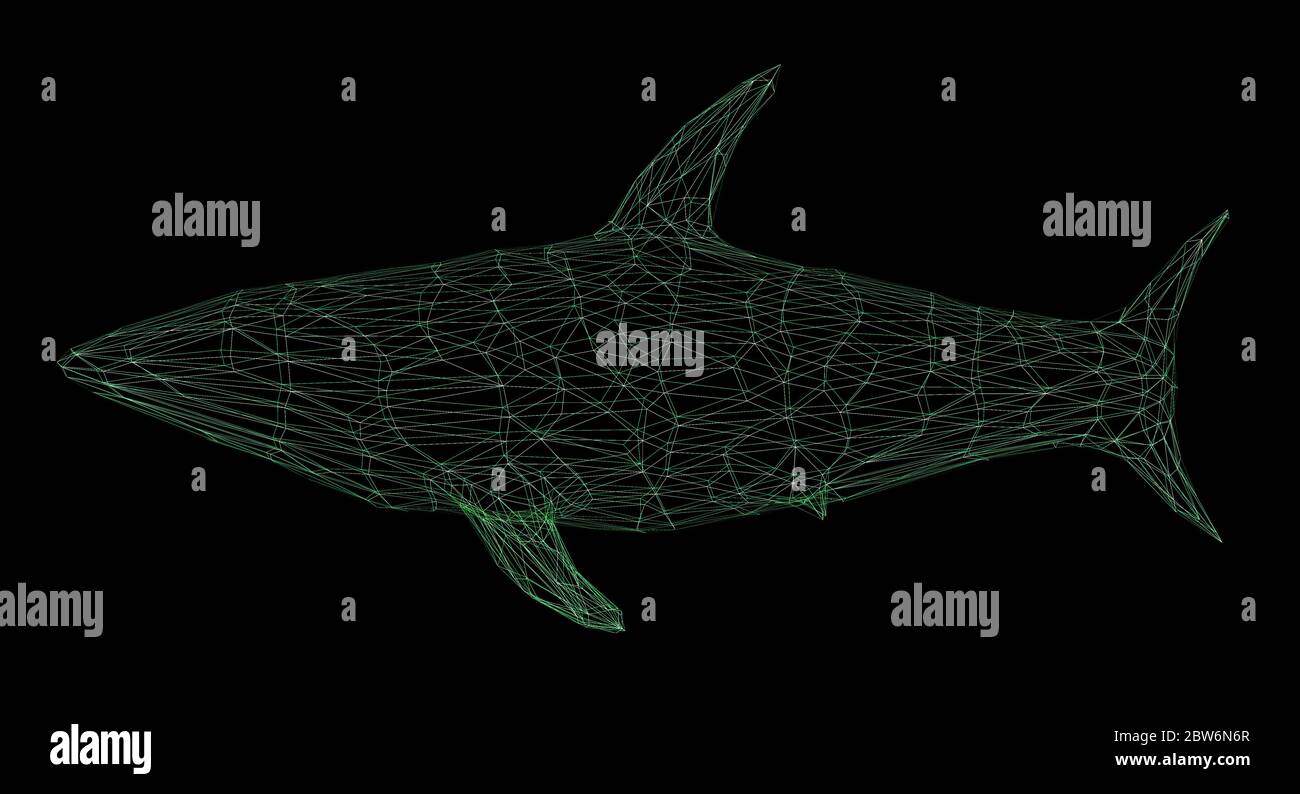 3d rendering wireframe polygonal shark isolated on black Stock Photo ...