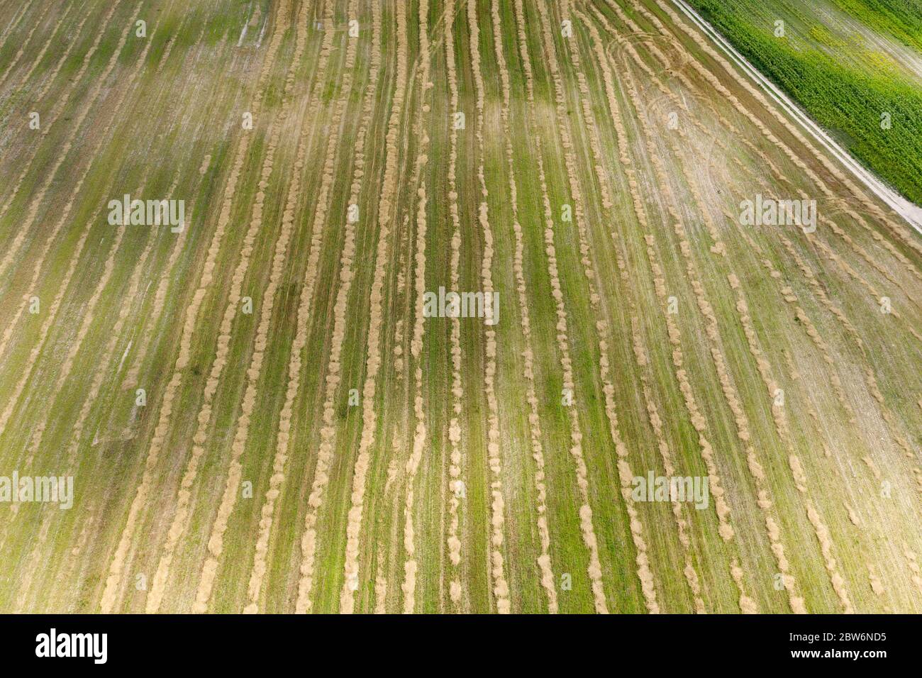 sown agricultural field, view from above Stock Photo - Alamy