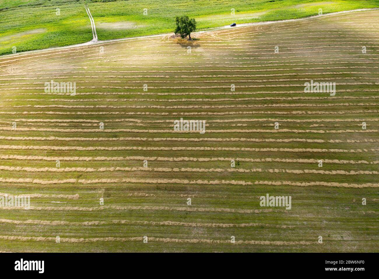 sown agricultural field, view from above Stock Photo - Alamy