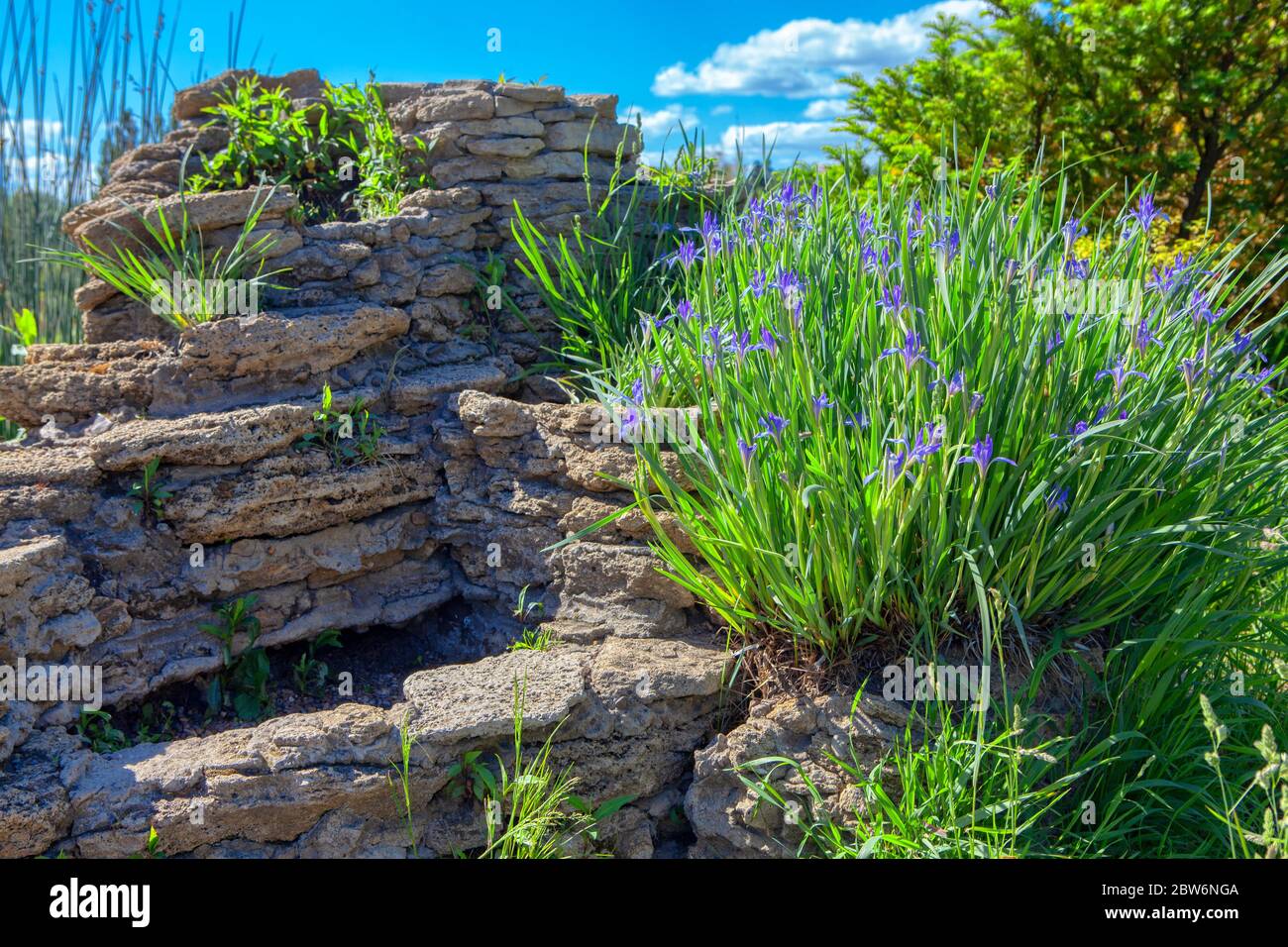 Part of parapet wall hi-res stock photography and images - Alamy