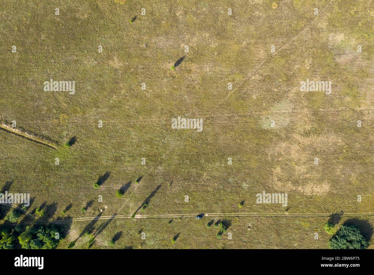 wild field, view from above Stock Photo - Alamy