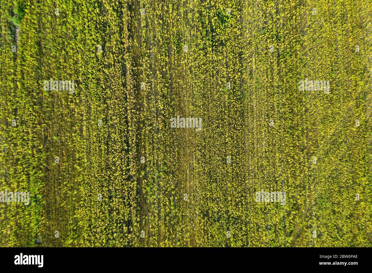 farm field, agriculture, view from above Stock Photo - Alamy