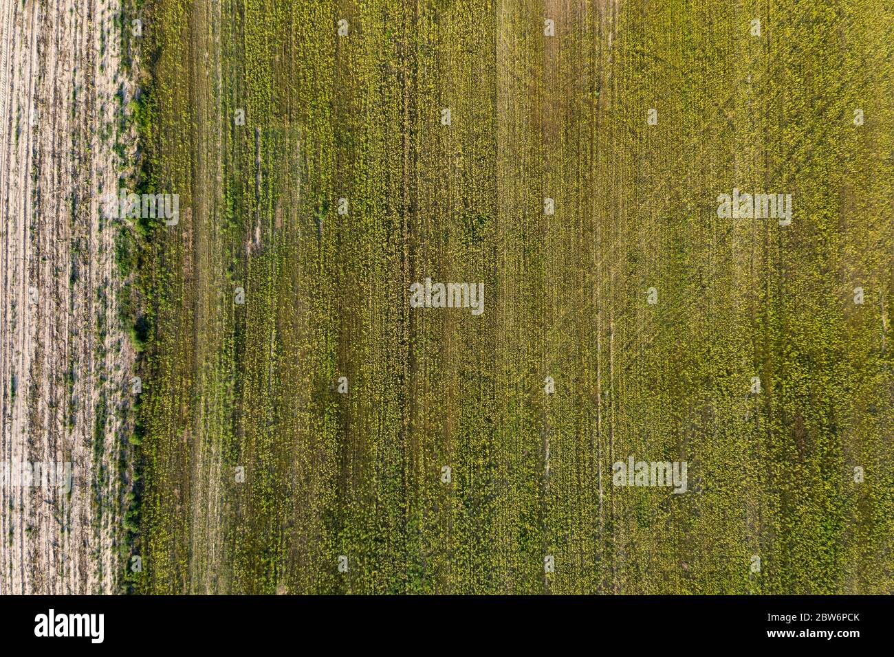 farm field, agriculture, view from above Stock Photo - Alamy