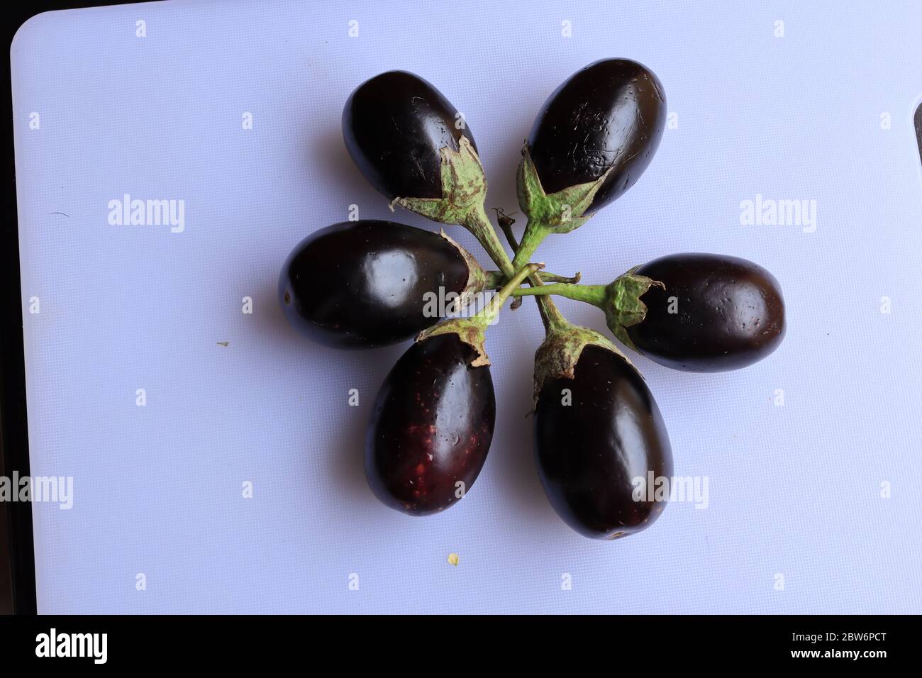 Fresh Raw Sliced Purple Eggplant Brinjal or Eggplant isolated on white ...