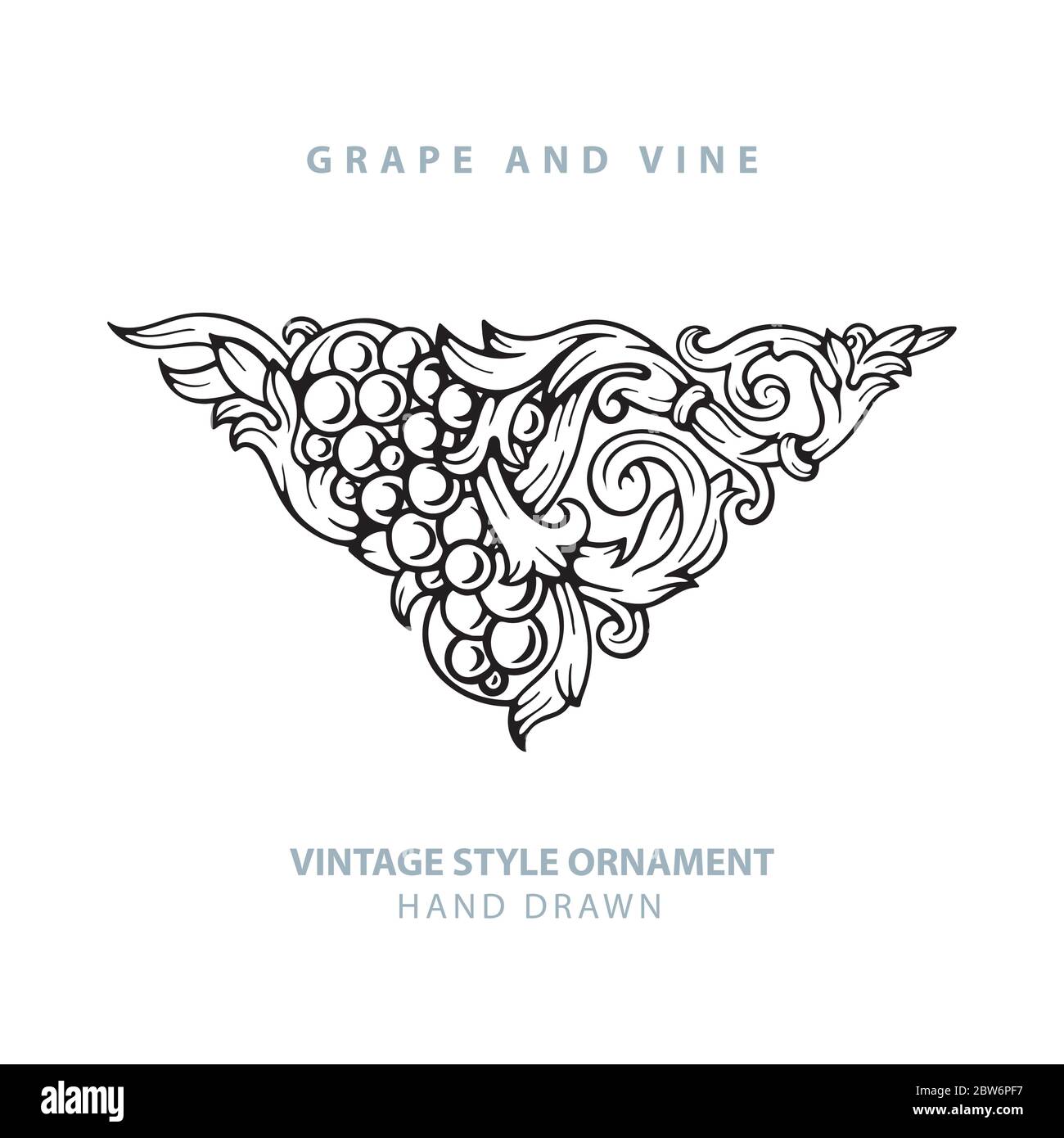 Grapevine vintage style ornaments. Grape bunch and vine hand drawn ...