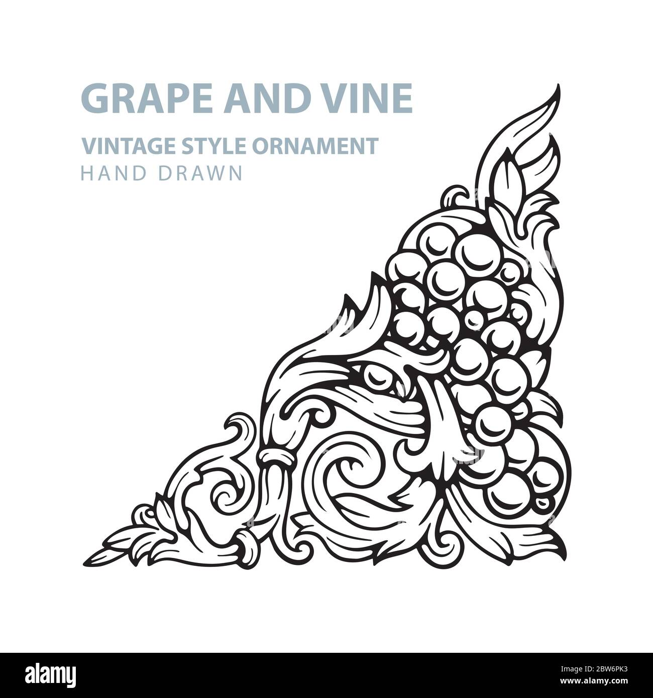 Grapevine vintage style ornaments. Grape bunch and vine hand drawn ...