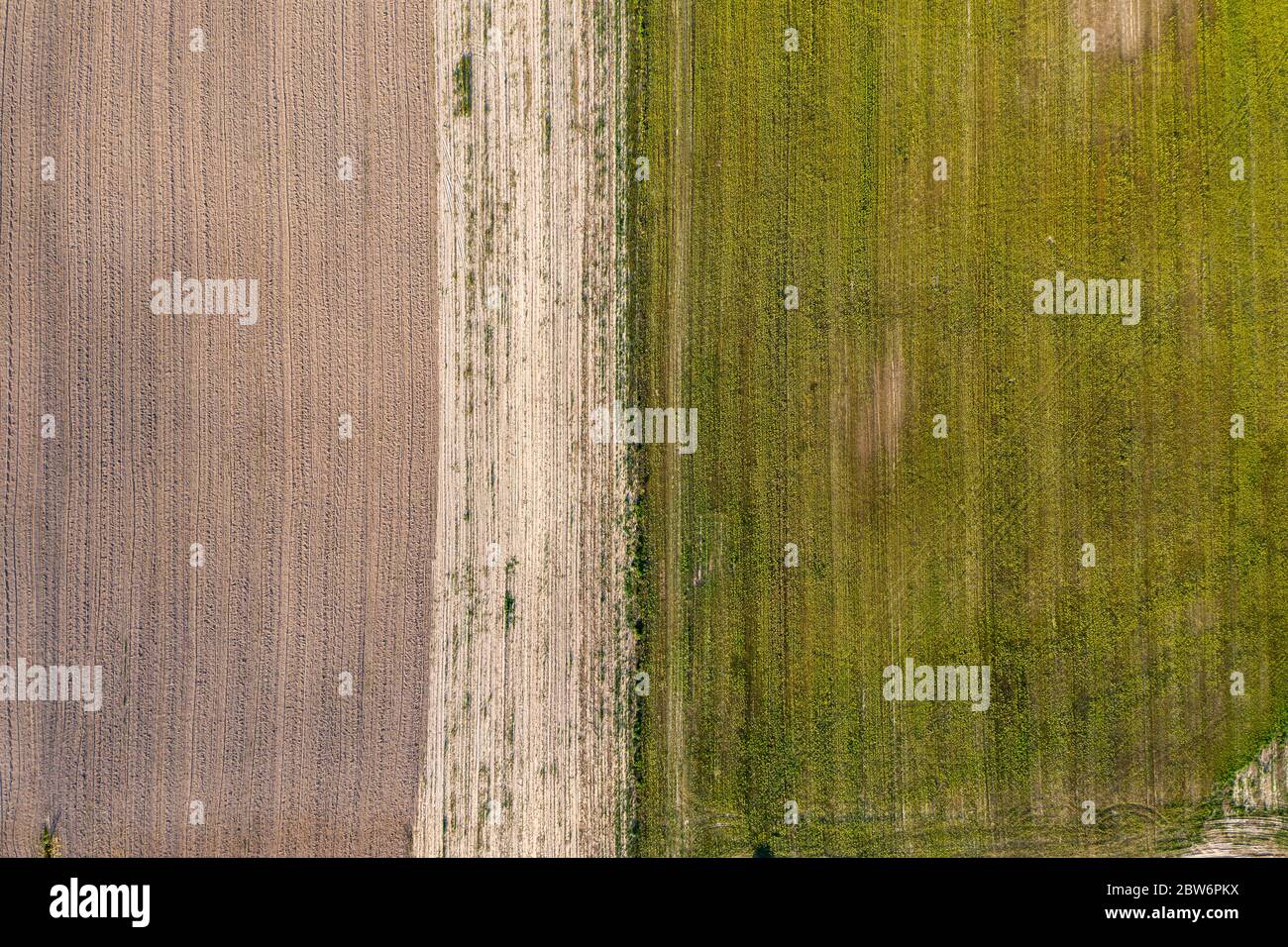 farm field, agriculture, view from above Stock Photo - Alamy