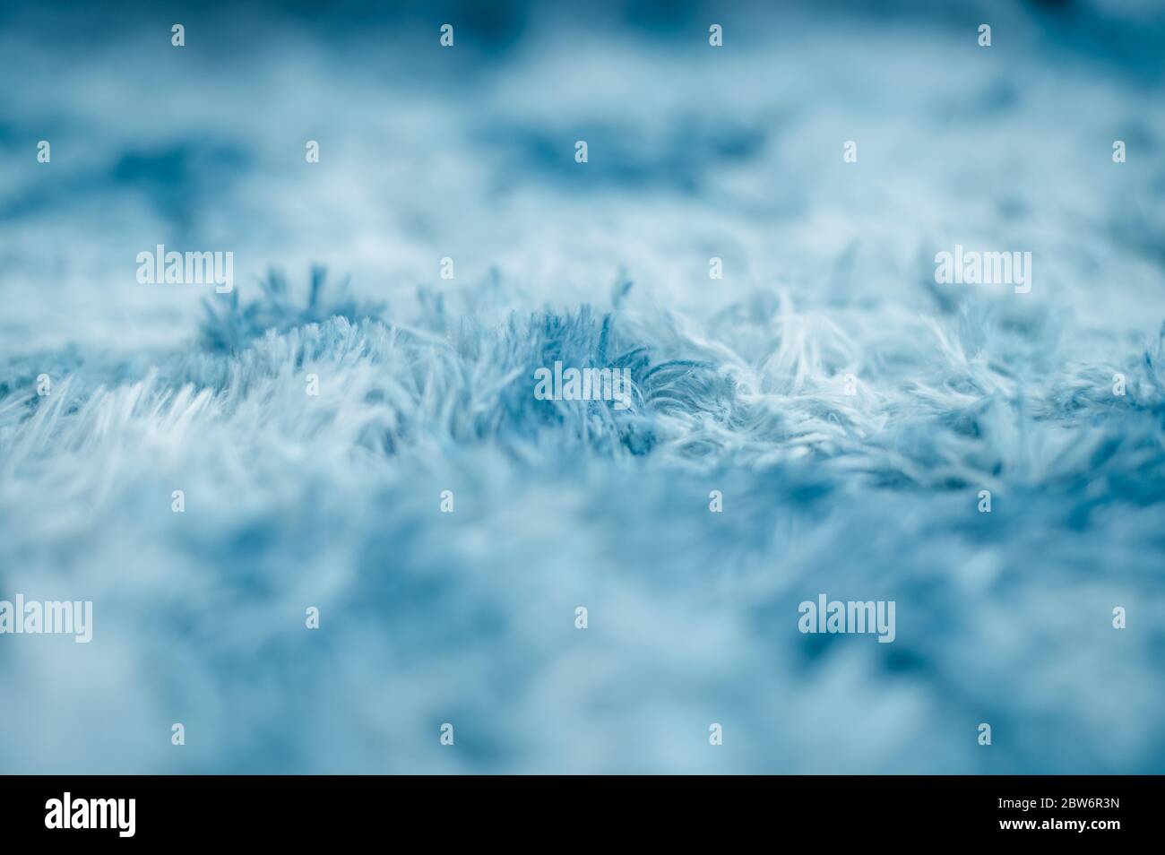 Dust mites hi-res stock photography and images - Alamy