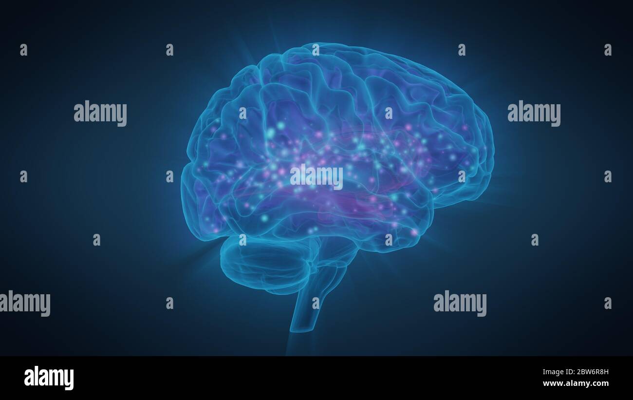 3d illustration human brain with convolutions and a radiance of light ...