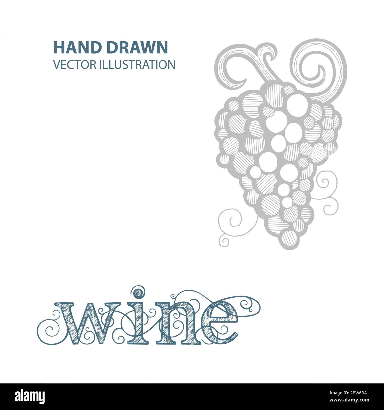 Grape bunch. Hand drawn grapevine engraving style illustration and ...