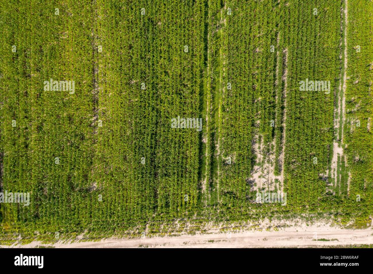 farm field, agriculture, view from above Stock Photo - Alamy