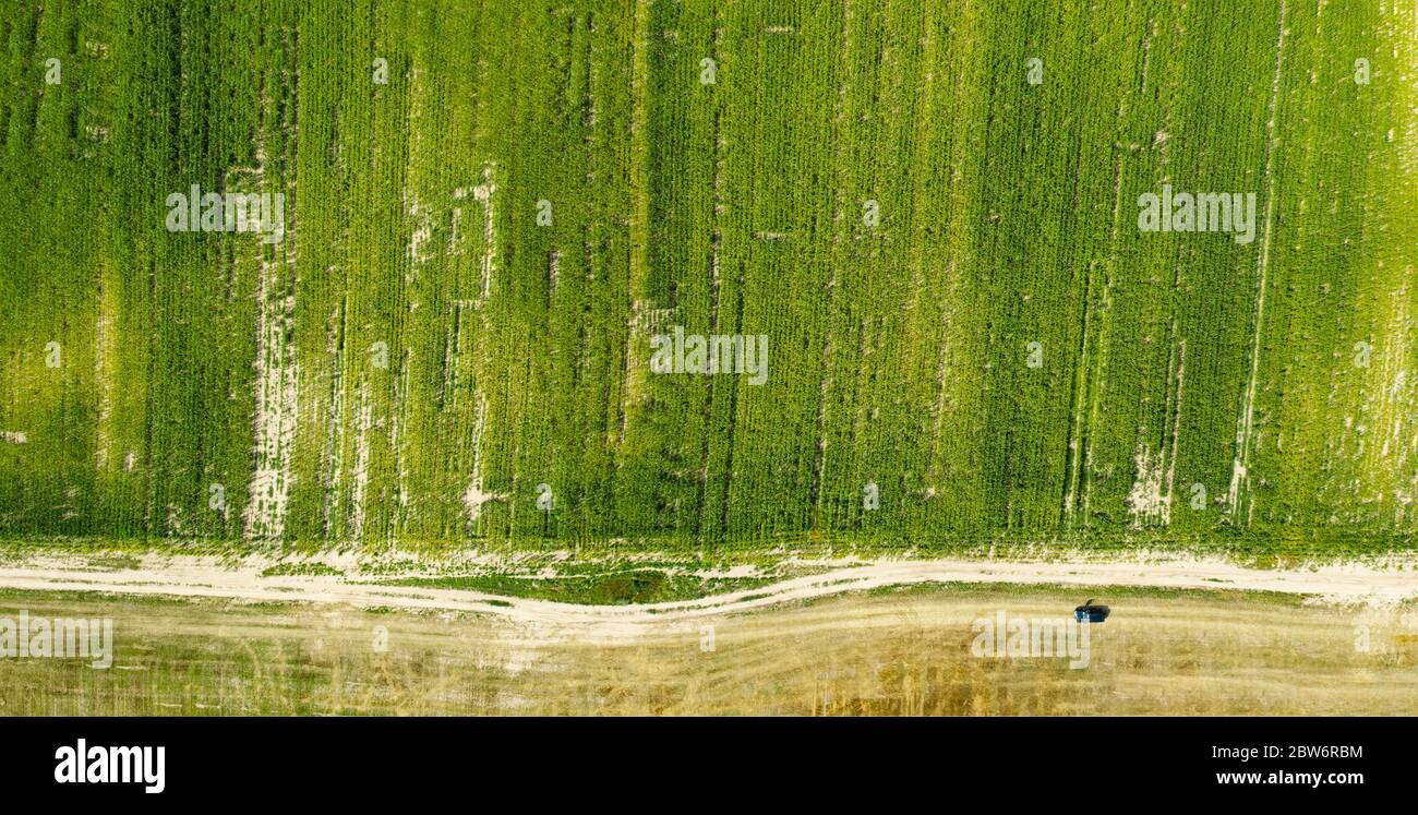 farm field, agriculture, view from above Stock Photo - Alamy