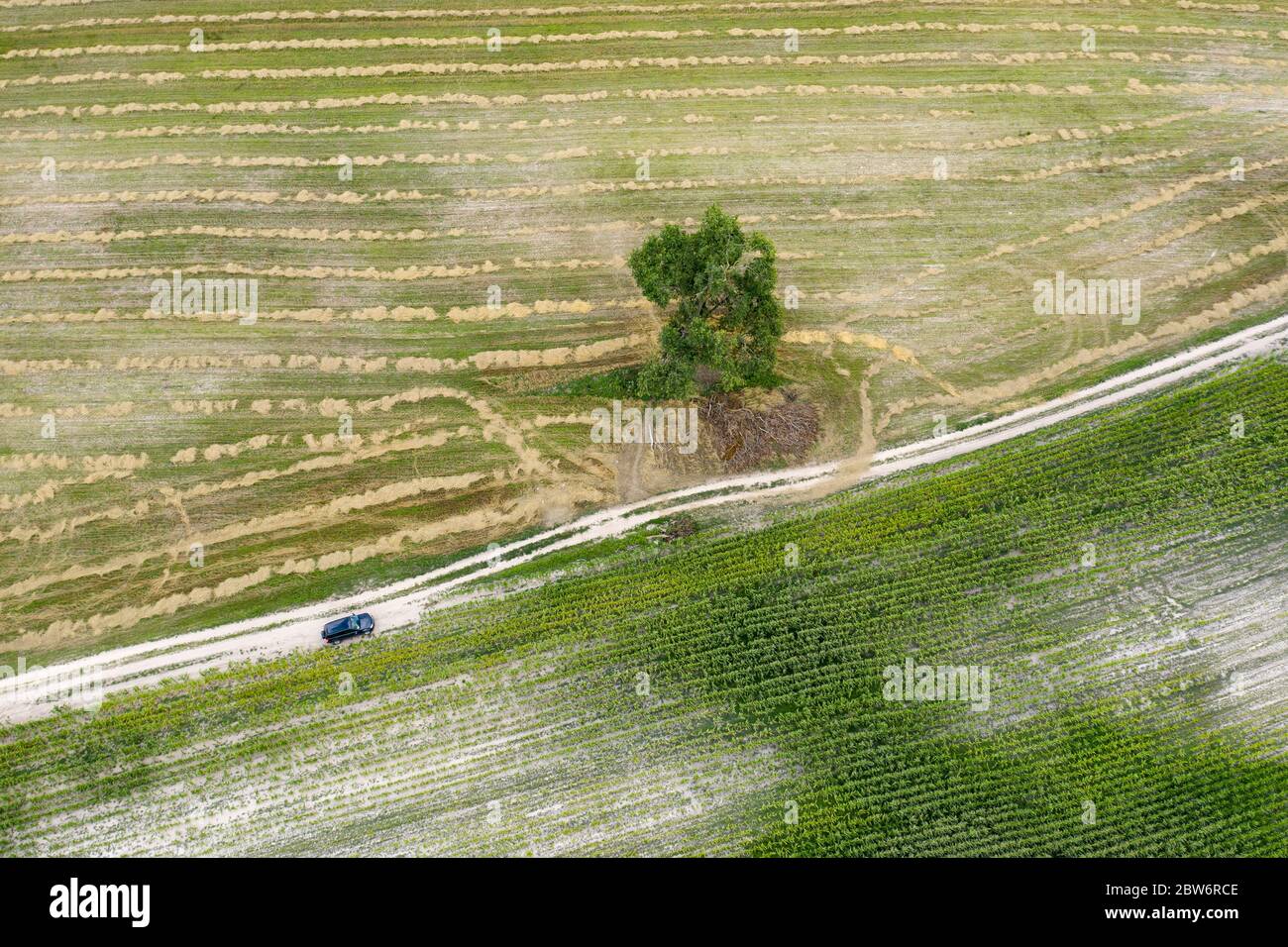 farm field, agriculture, view from above Stock Photo - Alamy