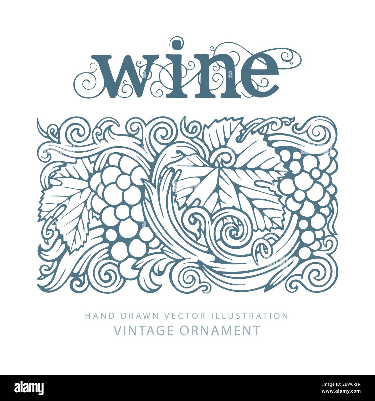 Grape and vine. Hand drawn grapevine engraving style illustration and ...