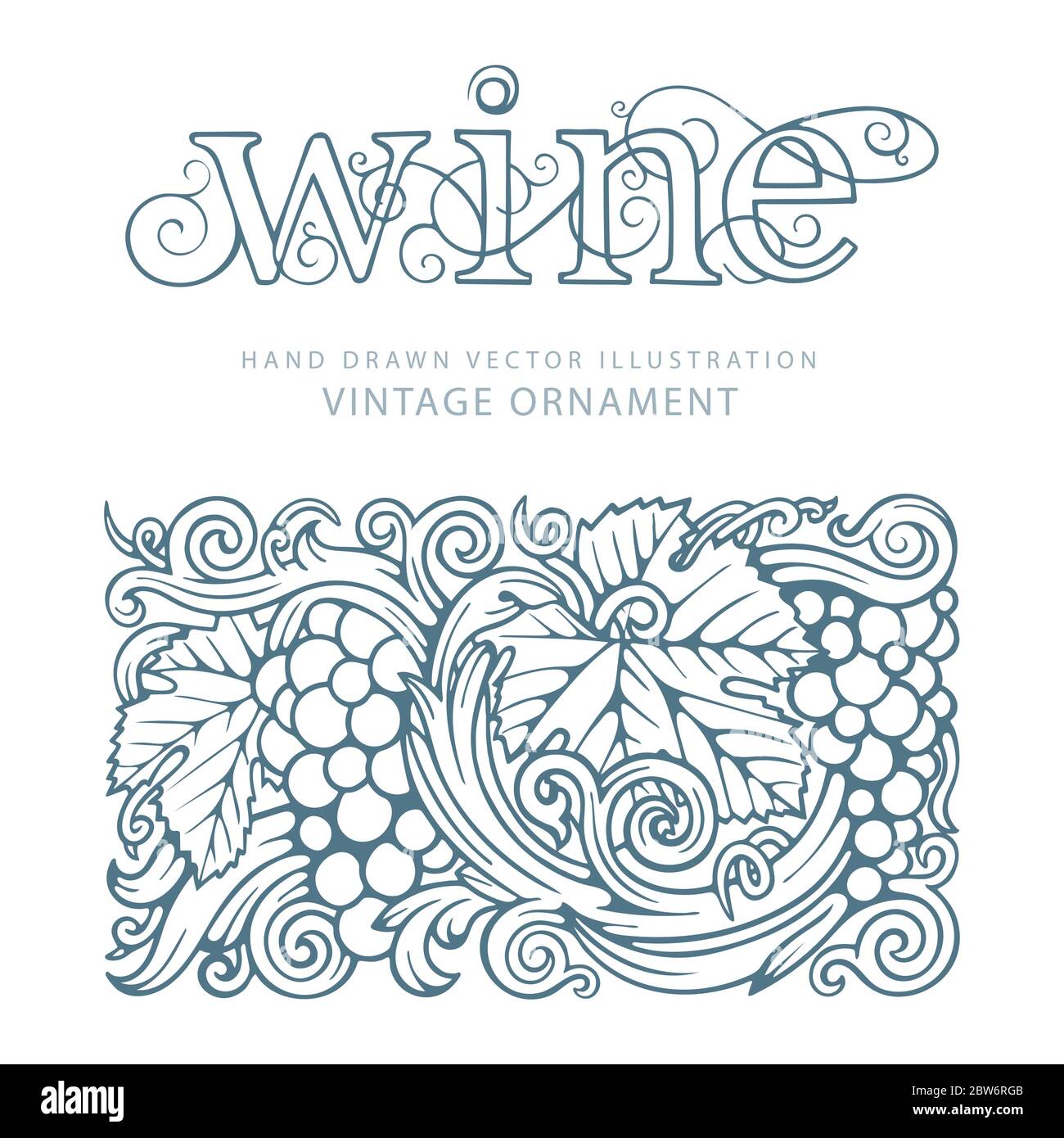 Grape and vine. Hand drawn grapevine engraving style illustration and ...