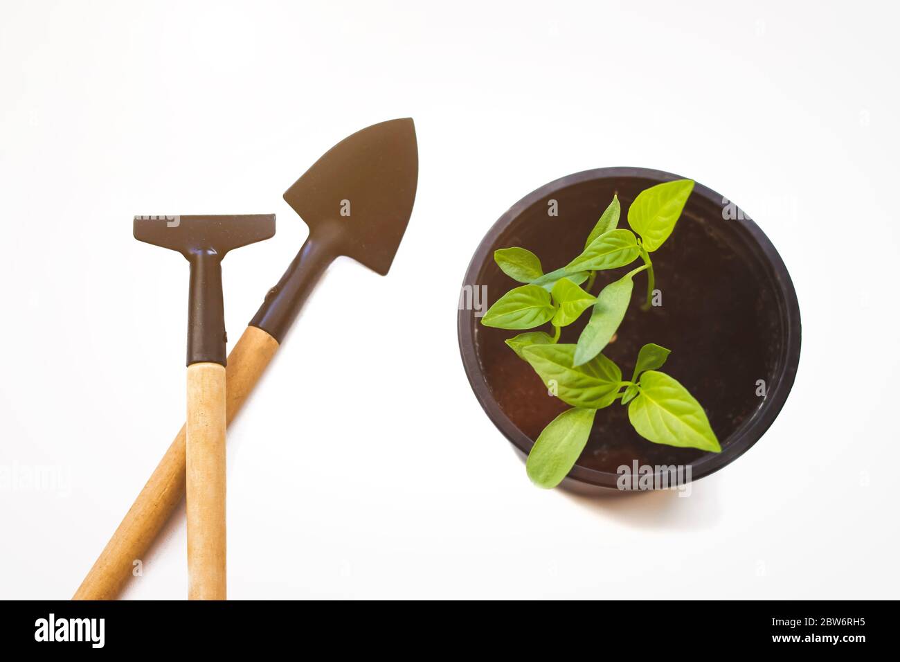 Miniature gardening tools: garden tool shovel, scoop, iron rake with ...