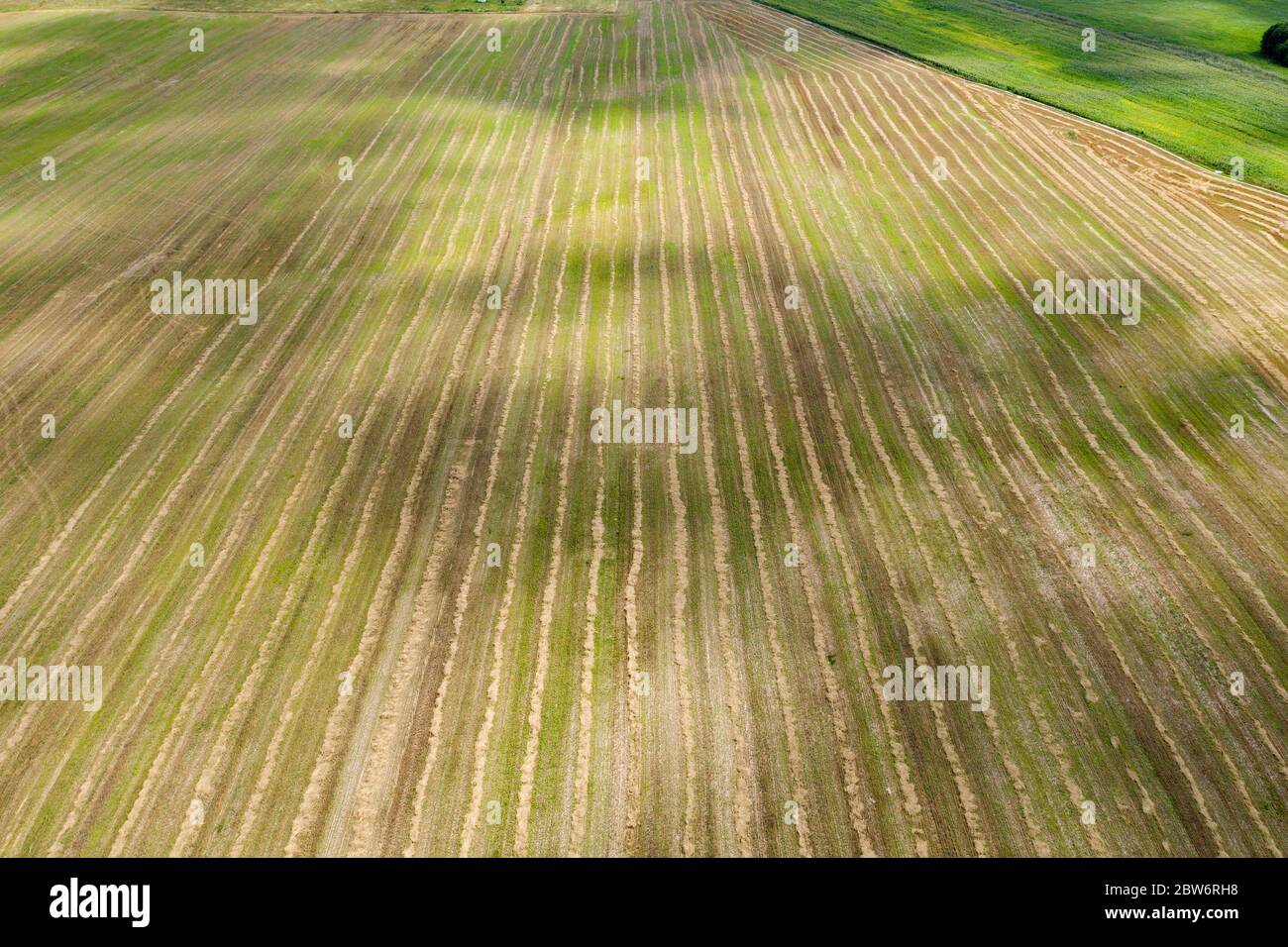 farm field, agriculture, view from above Stock Photo - Alamy