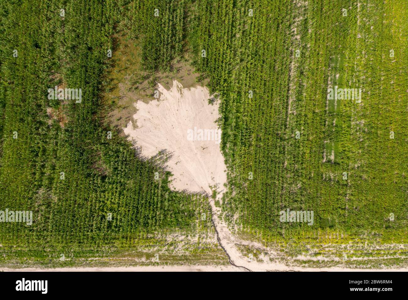 farm field, agriculture, view from above Stock Photo - Alamy