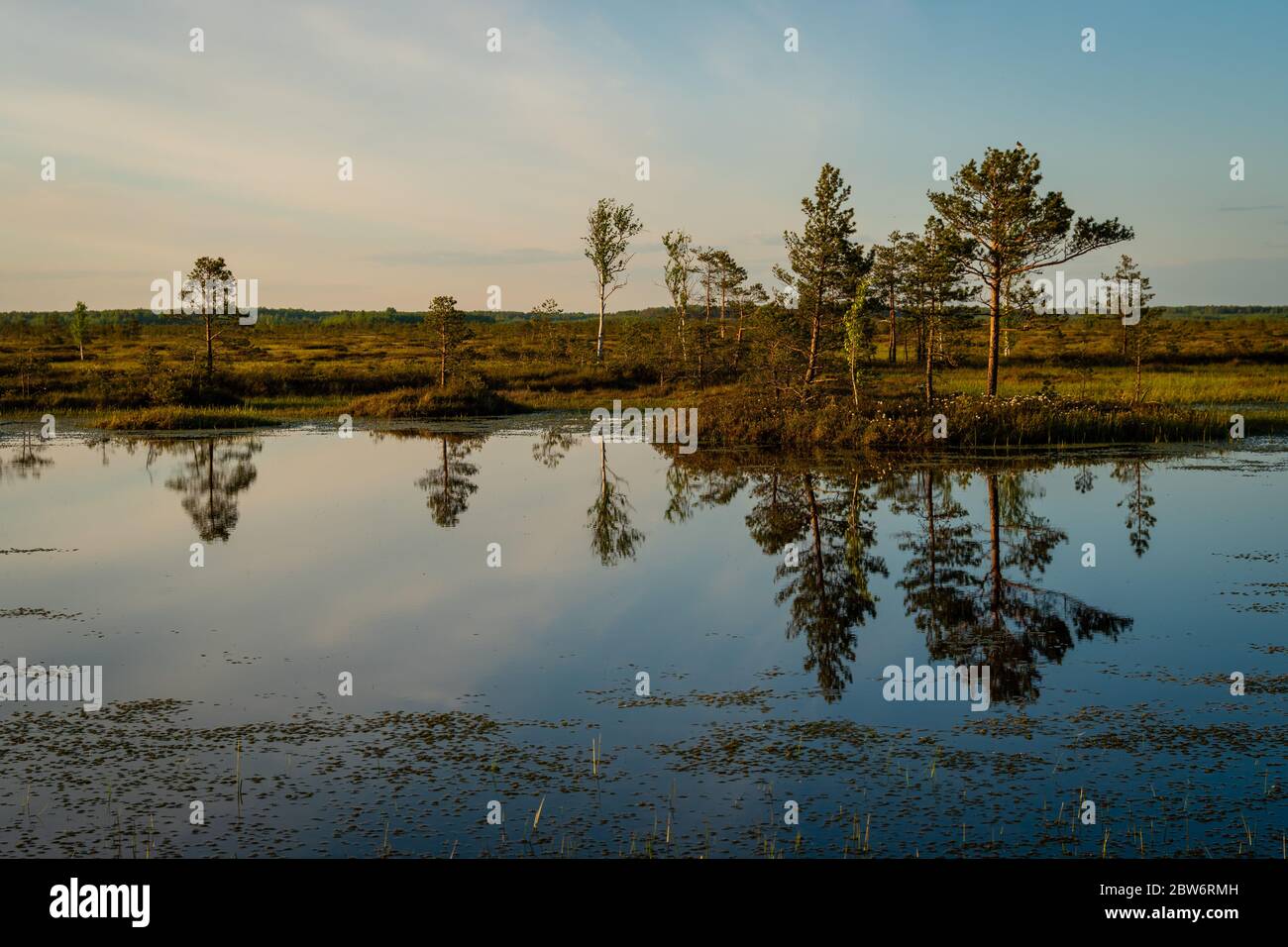 Yelnya hi-res stock photography and images - Alamy