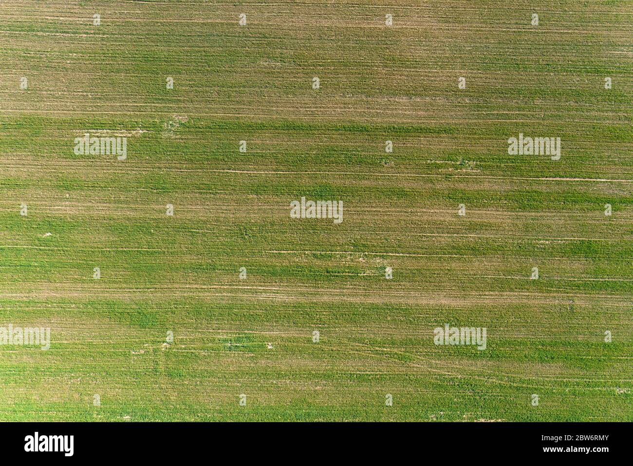 farm field, agriculture, view from above Stock Photo - Alamy
