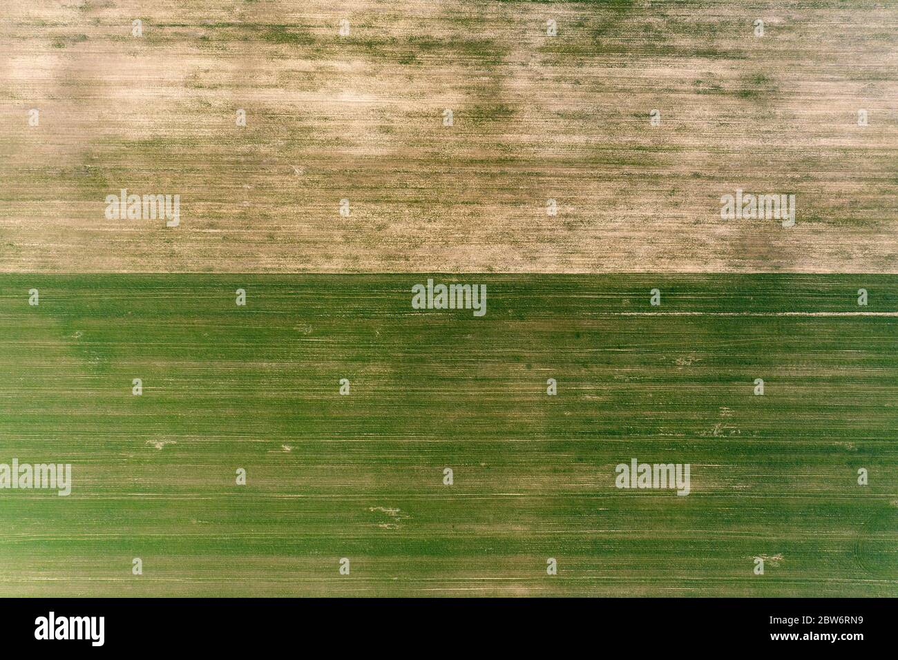 farm field, agriculture, view from above Stock Photo - Alamy