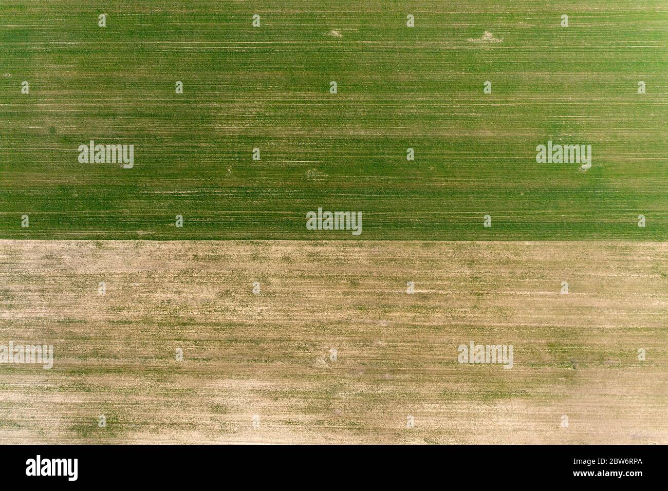 farm field, agriculture, view from above Stock Photo - Alamy