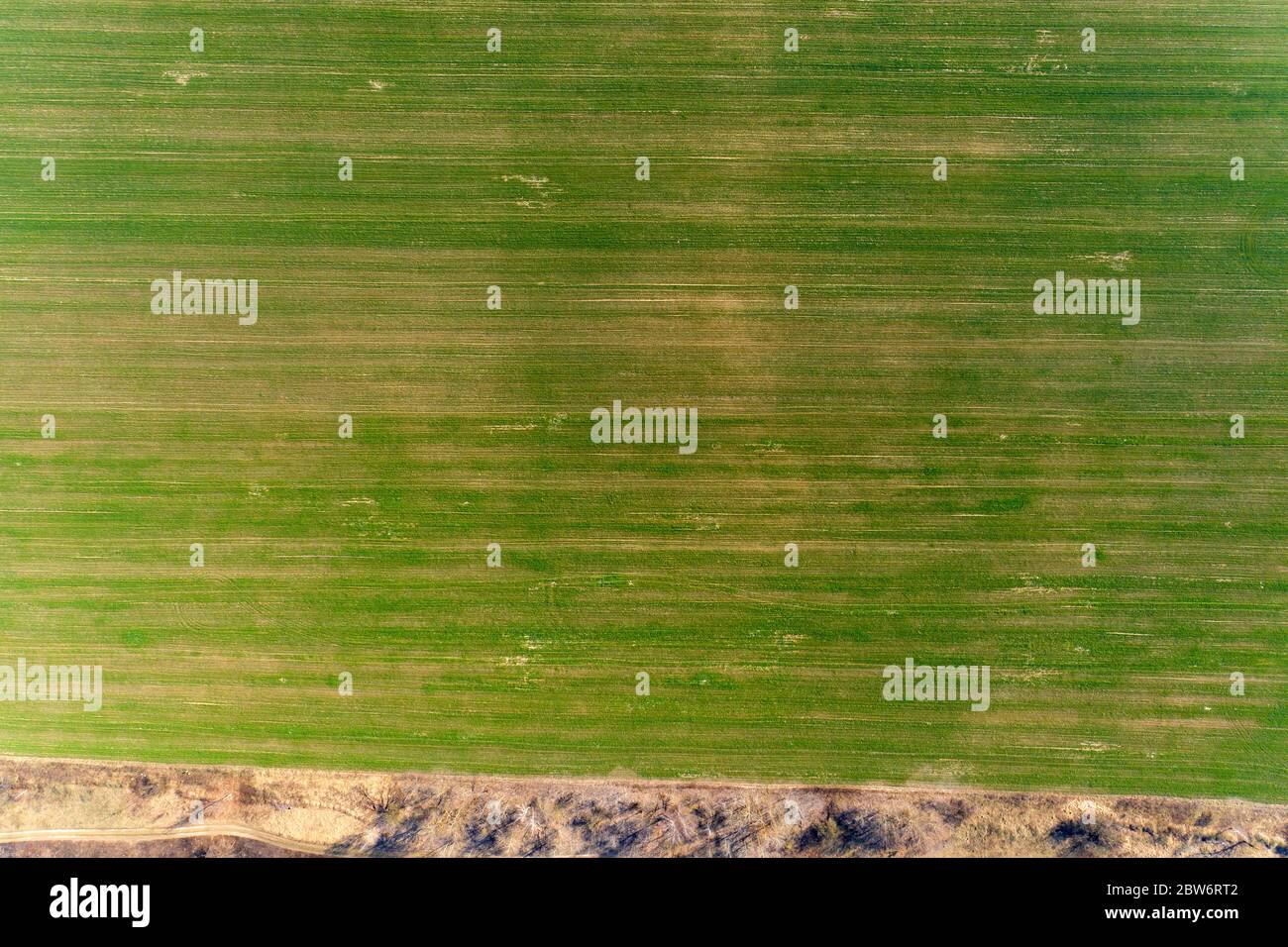 farm field, agriculture, view from above Stock Photo - Alamy