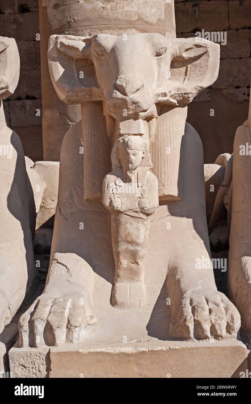 Ancient egyptian ram headed stone sphinx statue at Karnak temple in ...