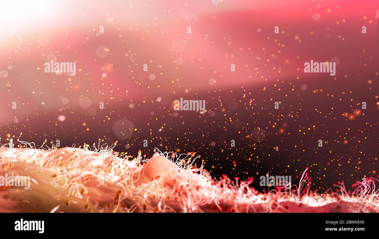 Spore propagation, spread of a virus, pollen and inflorescences ...