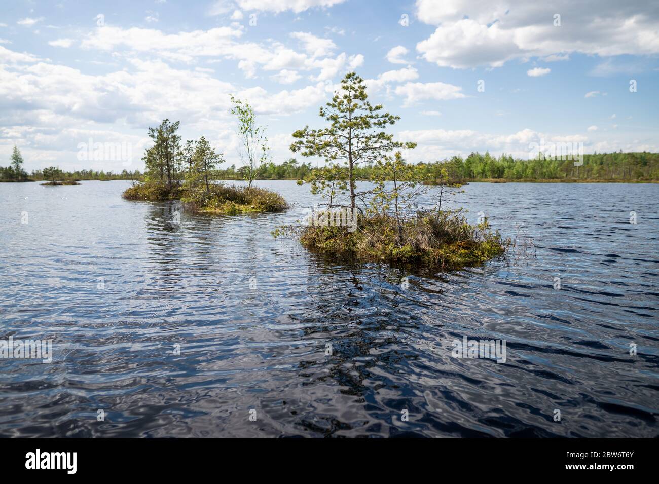 Vegetation on small islands among lakes. Beautiful views of the nature ...