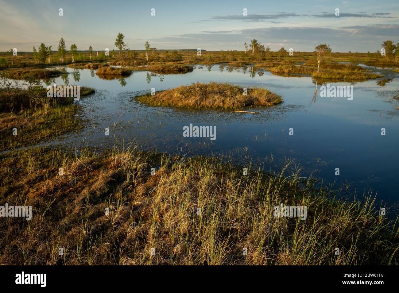 Vegetation on small islands among lakes. Beautiful views of the nature ...