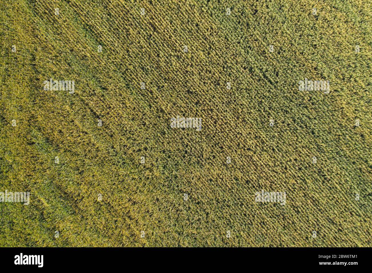 farm field, agriculture, view from above Stock Photo - Alamy