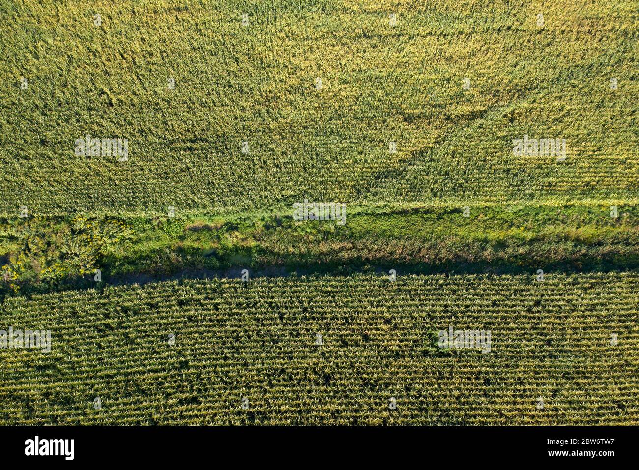farm field, agriculture, view from above Stock Photo - Alamy