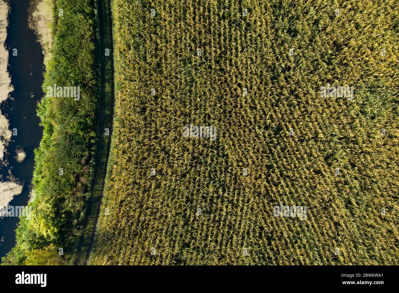 farm field, agriculture, view from above Stock Photo - Alamy