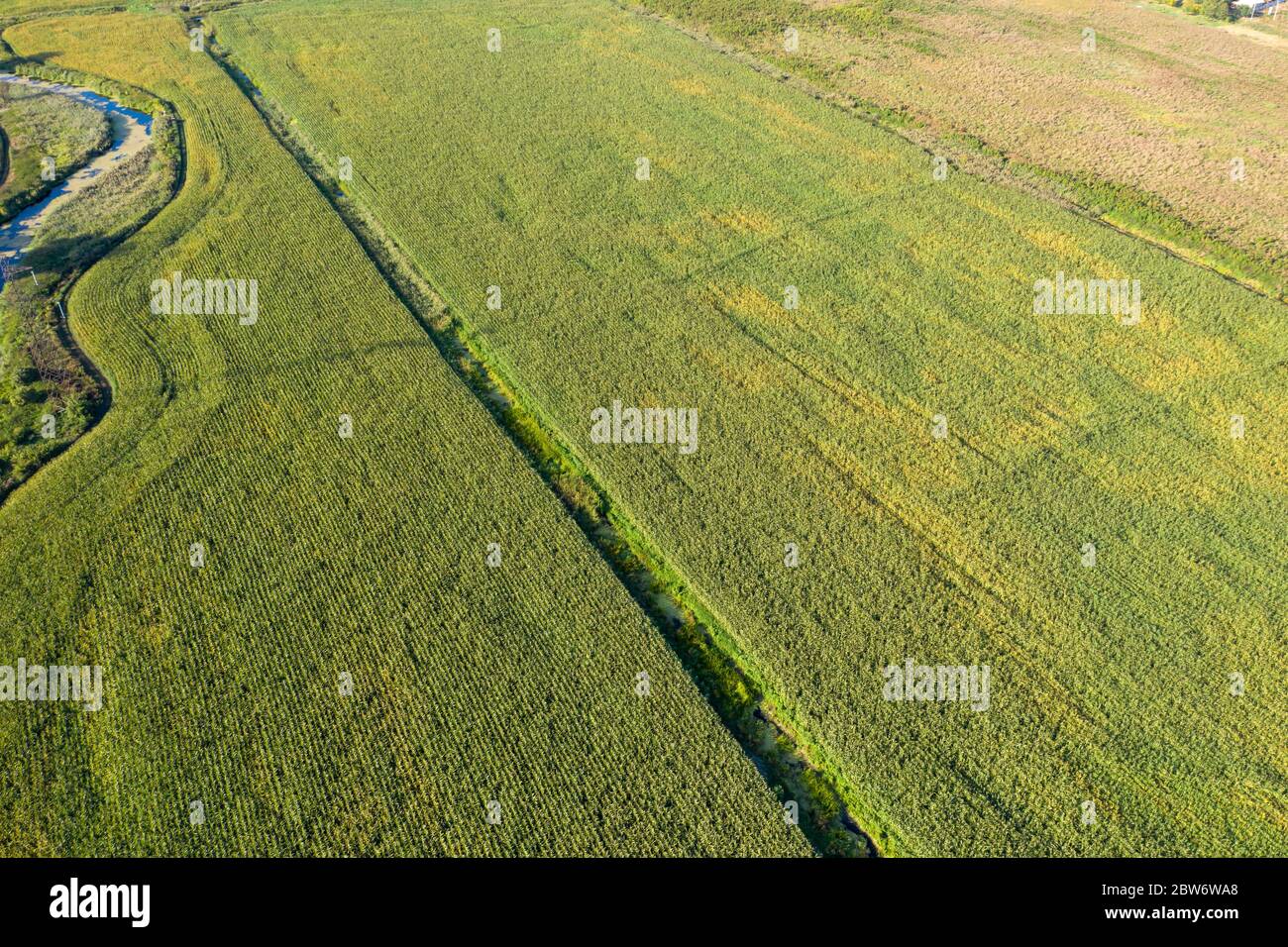 farm field, agriculture, view from above Stock Photo - Alamy