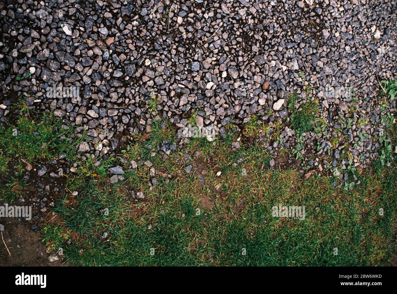 Land texture. Grass and gravel. Simple composition. Analog photograph ...
