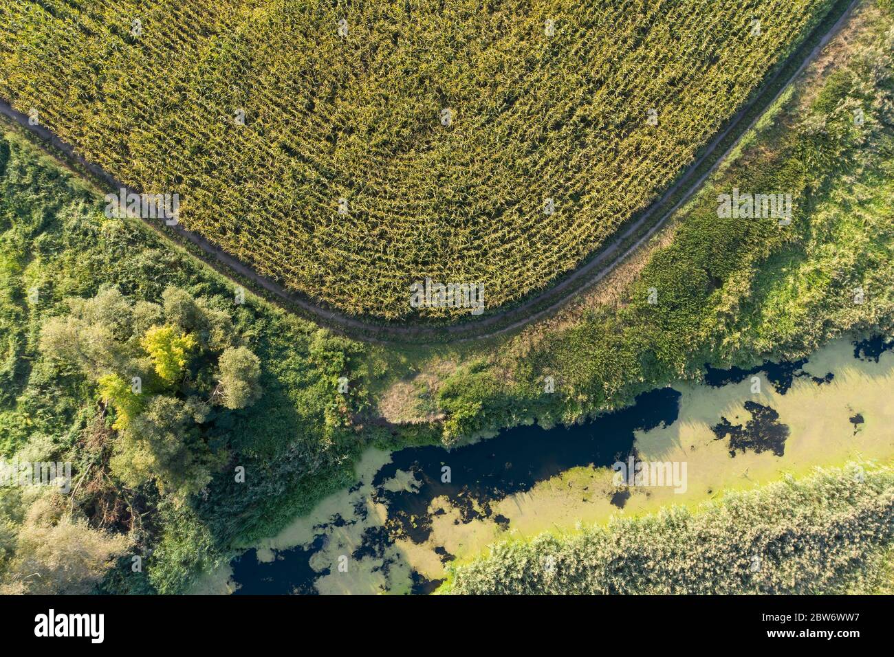 farm field, agriculture, view from above Stock Photo - Alamy